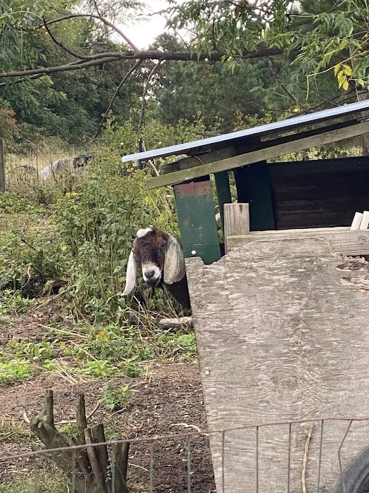 Discover Cypress Cove Retreat: Your Perfect RV Park Getaway Near ...