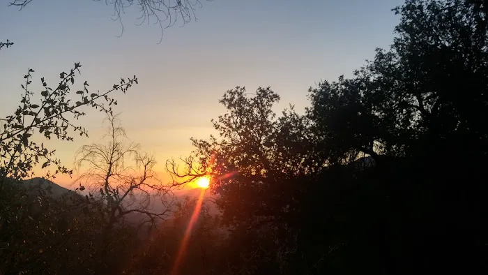 Discover the Secluded Beauty of Little Pine Spring Camp: Your ...