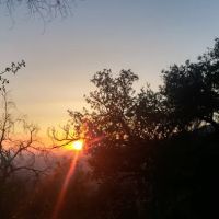 Discover the Secluded Beauty of Little Pine Spring Camp: Your ...