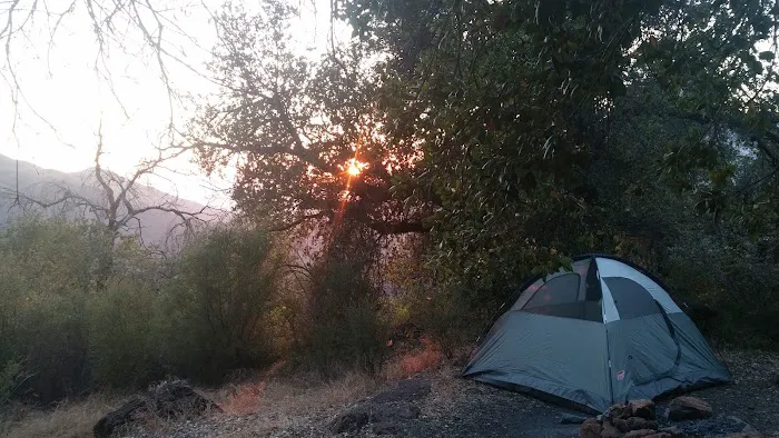 Discover the Secluded Beauty of Little Pine Spring Camp: Your ...