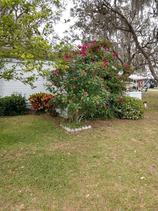 Discover Highland Oaks RV Resort: Your Ideal RV Getaway Near Sebring ...