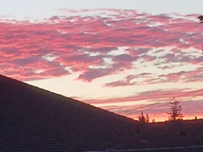 Discover Town & Country Mobile Village: A Retirement Community in San Jose