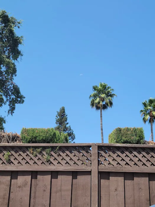 Discover Town & Country Mobile Village: A Retirement Community in San Jose