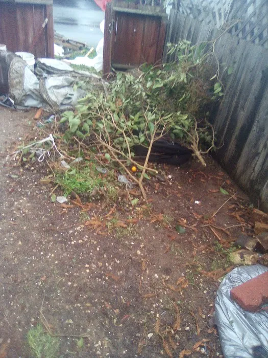 Discover Green Valley Village Mobile Home Park: An All-Ages Community ...