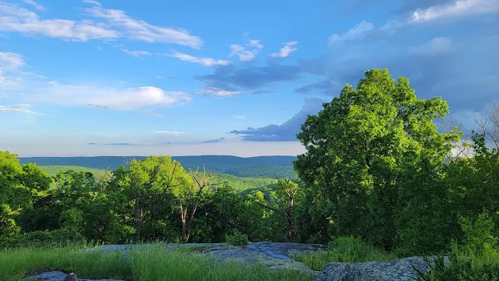 Discover Tom Jones Shelter: A Backcountry Camping Experience near ...