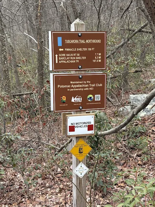 Discover Pinnacles Shelter: Your Perfect Camping Cabin Getaway Near You