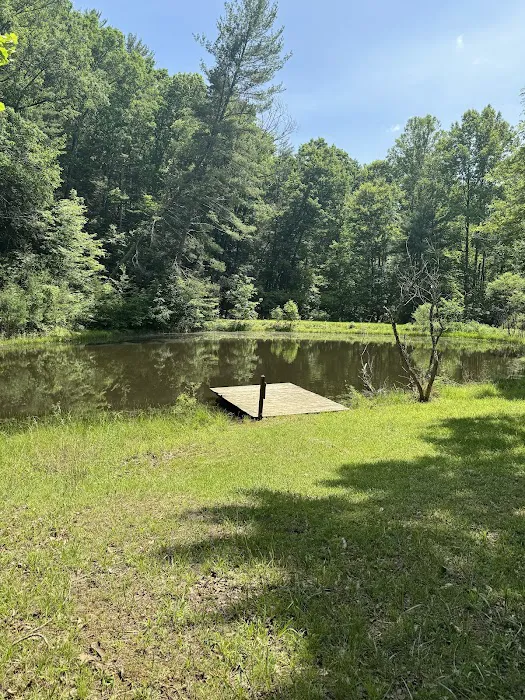 Exploring Tomahawk Pond Near Broadway, VA: Trails and Lake, but No Camping