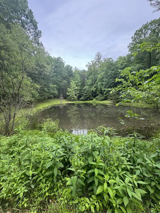 Exploring Tomahawk Pond Near Broadway, VA: Trails and Lake, but No Camping