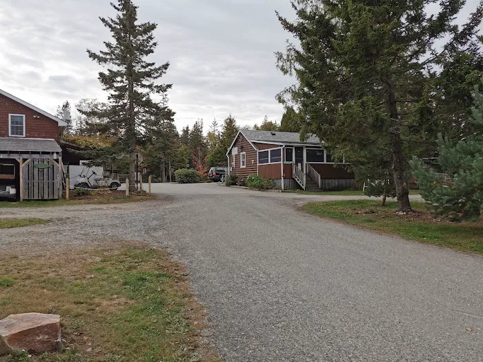 Discover Bass Harbor Campground: Your Coastal Camping Escape in Maine