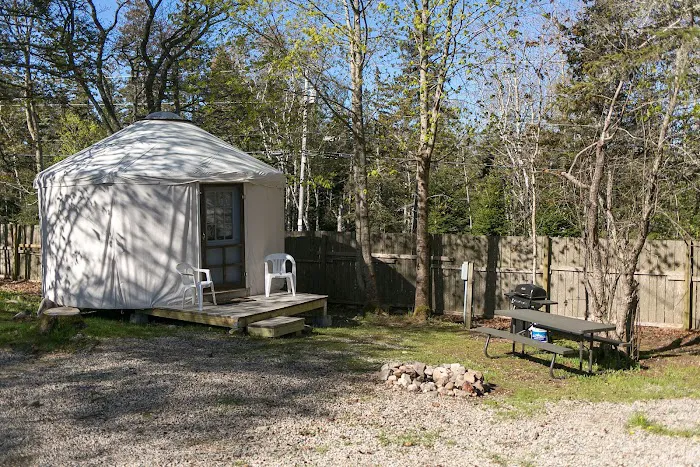 Discover Bass Harbor Campground: Your Coastal Camping Escape in Maine