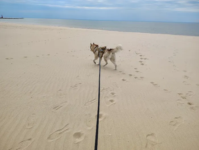 Explore Muskegon State Park Channel Campground: Your Local Outdoor ...