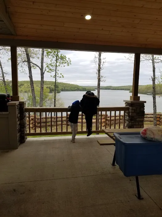 Discover the Unique Charm of Tree Houses at S-F for Your Local Camping ...