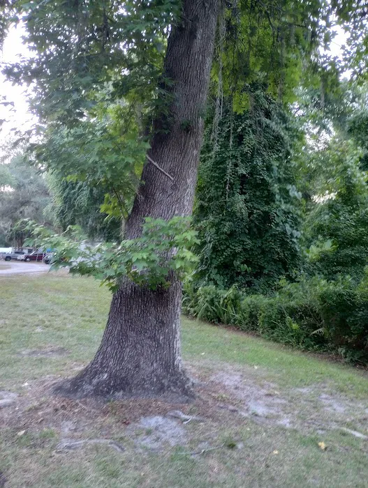 Discover the Welcoming Atmosphere of St Johns River Camp Ground Inc ...