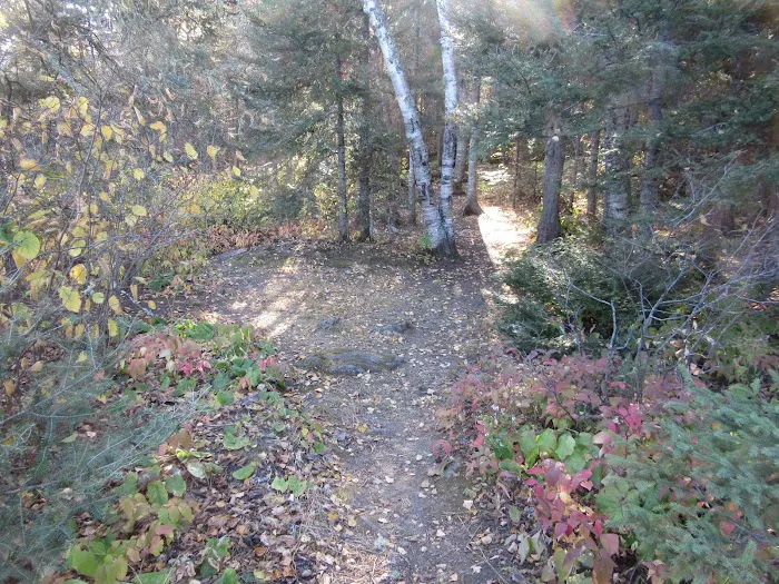 Discover BWCA Campsite #901: Your Wilderness Camping Getaway Near You