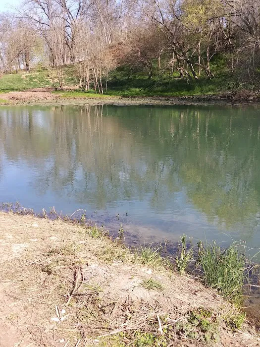 Discover Spencer Canoes & Shady Grove Campground: Your Riverside ...