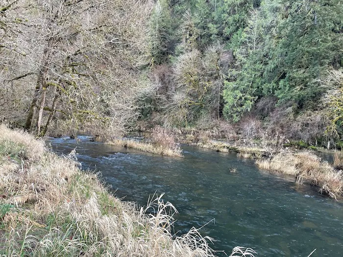 Discover Camping Near You: Smith River Campground in Reedsport, Oregon