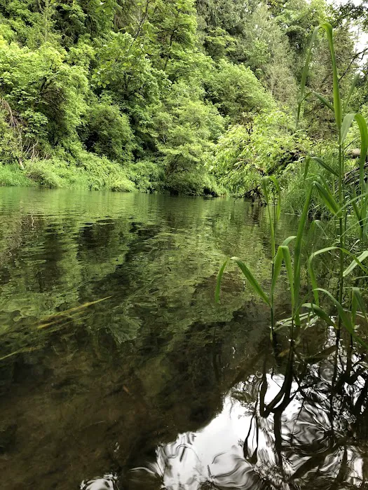 Discover Camping Near You: Smith River Campground in Reedsport, Oregon