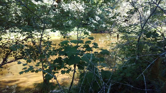 Discover Camping Near You: Smith River Campground in Reedsport, Oregon