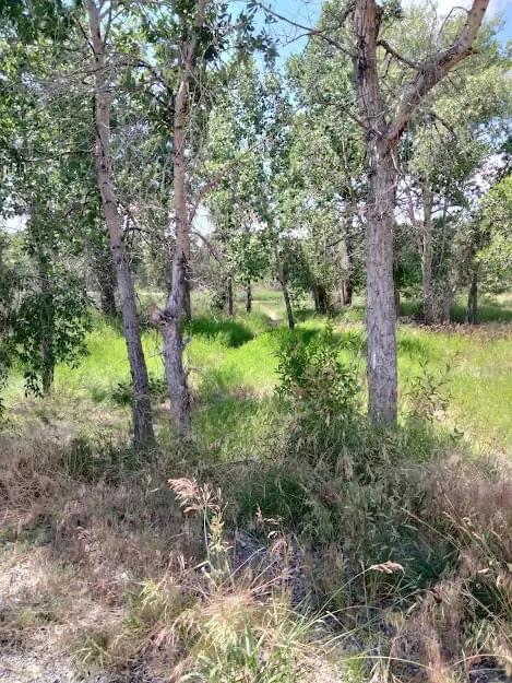 Discover Camping Near You: Exploring Lowry Bridge Campground