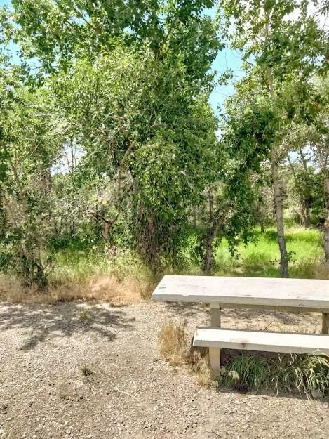 Discover Camping Near You: Exploring Lowry Bridge Campground