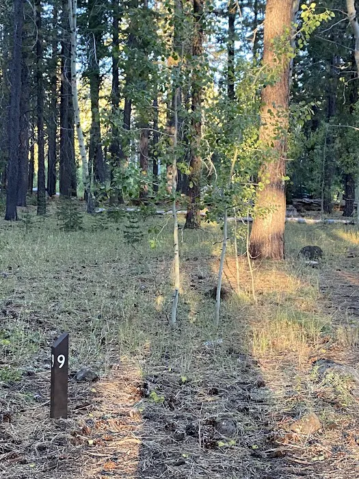 Discover Rocky Knoll Campground: A Tranquil Camping Escape Near ...