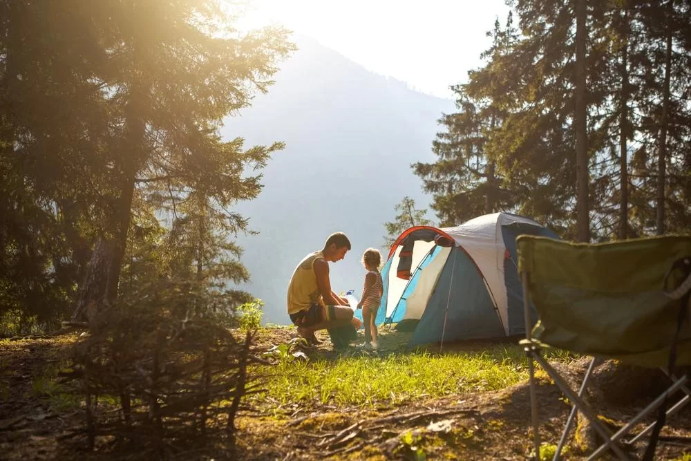 Explore Eco-Friendly Camping Sites in National Parks for a Sustainable ...